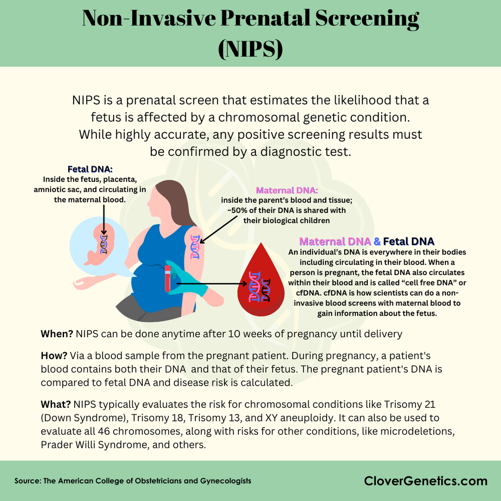 Prenatal and Fetal Testing — Clover Genetics
