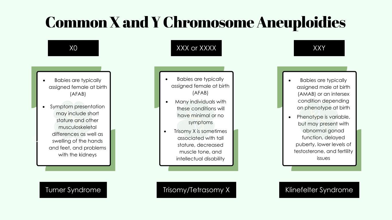 X and Y Chromosomal Aneuploidies — Clover Genetics