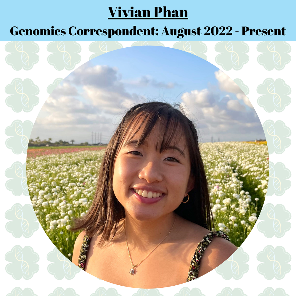 Approaches to Holistic Health in Bali and the US — Clover Genetics