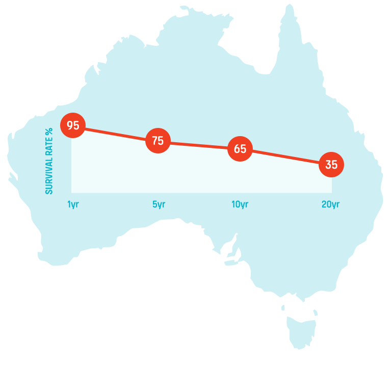 What We Do — Victor Chang Foundation