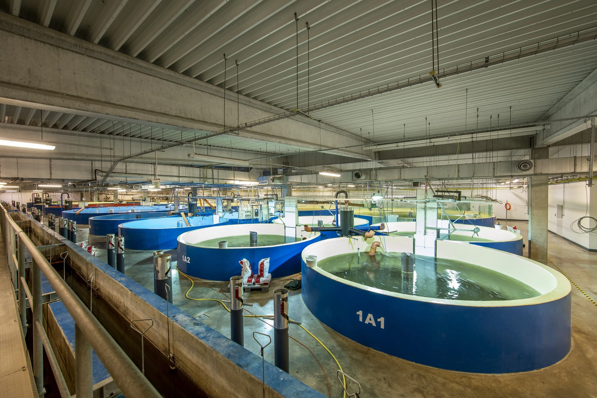 Our Clean Farm — Driva Aquaculture