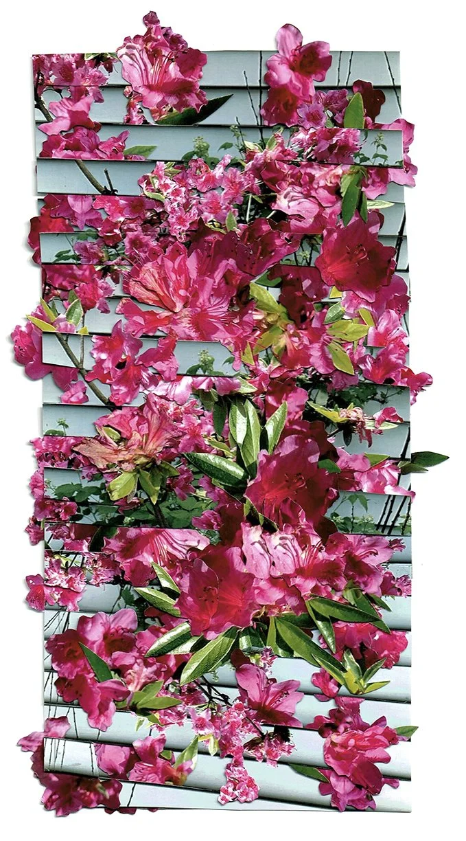 Feature: Megan Joubert — fifth wheel press