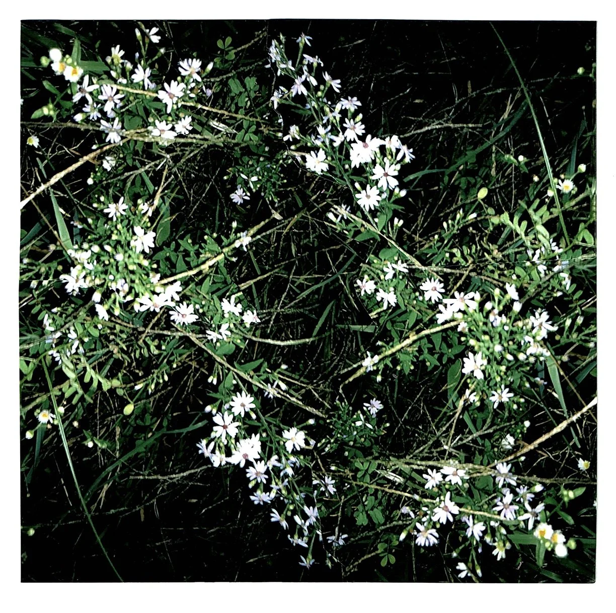 Feature: Megan Joubert — fifth wheel press