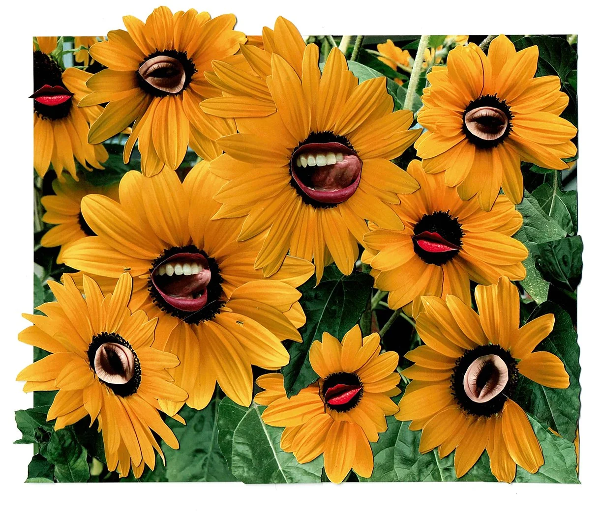 Feature: Megan Joubert — fifth wheel press