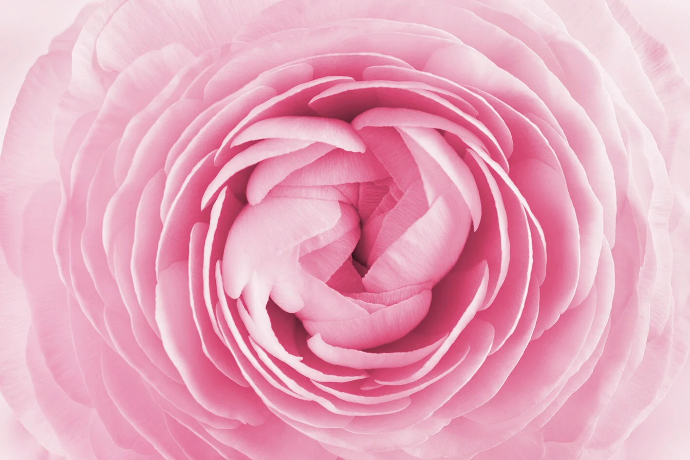 Prof Gabrielle Casper · Sydney Gynaecologist · Surgical Gynaecology ...