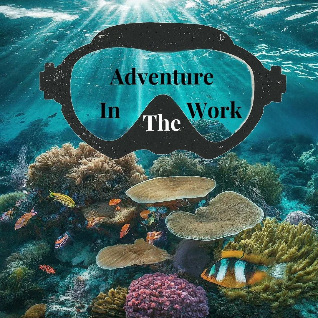 Dive Calendar: Explore Reefs & More with The Dive Company — The Dive ...