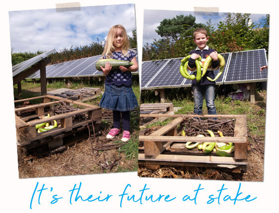 About the goal — Carbon Buddy Project