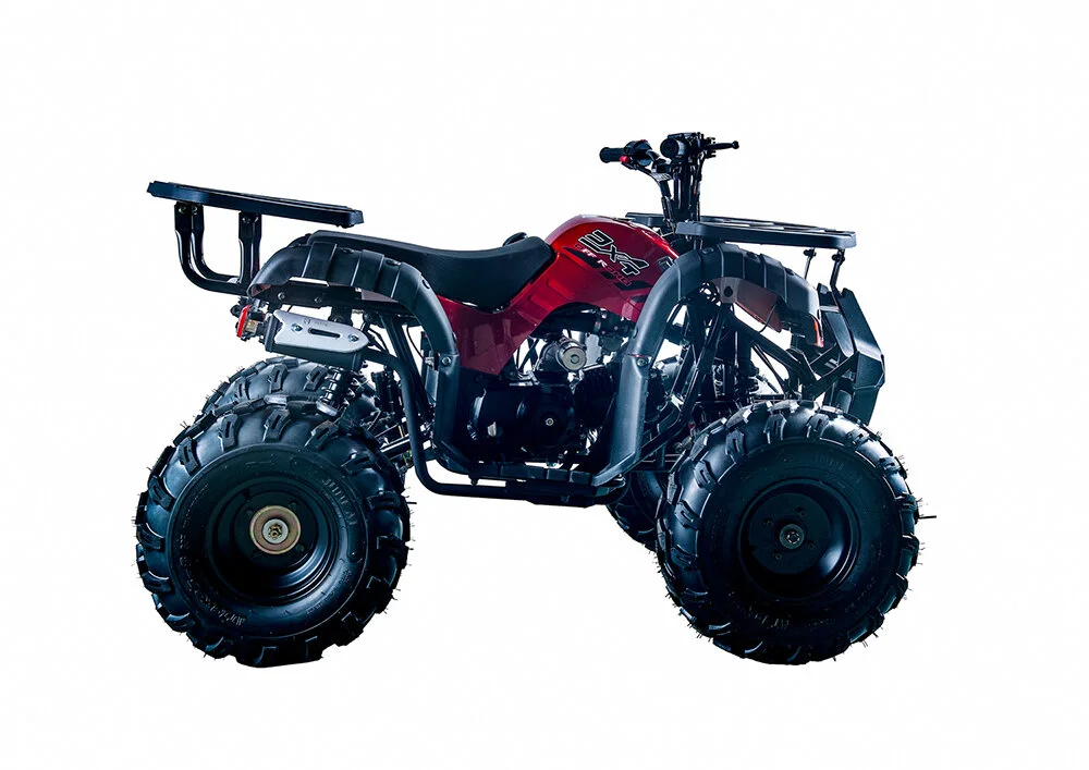 Apollo Blazer 9 125cc — Luca Motorsports