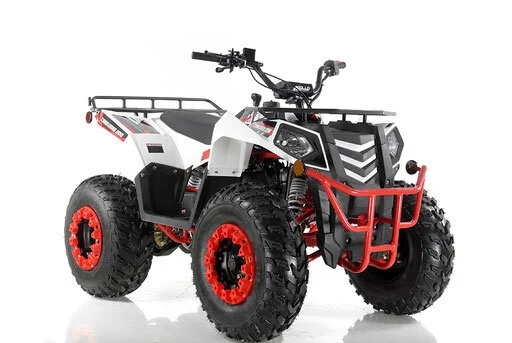 Apollo RFZ Commander 110cc ATV - Auto w/Reverse — Luca Motorsports