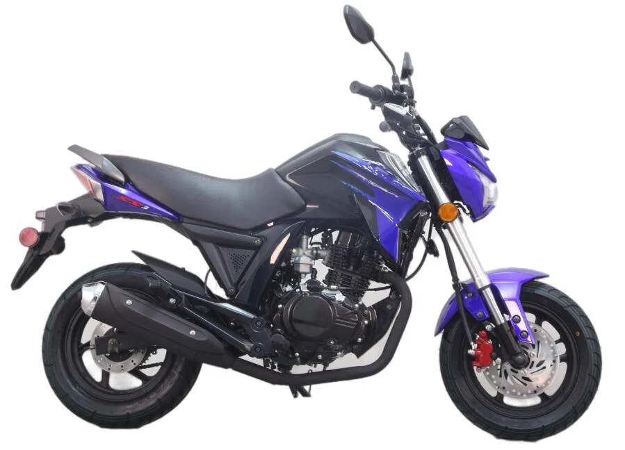 Ice Bear Champion 125cc Motorcycle — Luca Motorsports