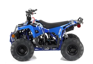 Apollo RFZ Commander 200 EFI — Luca Motorsports