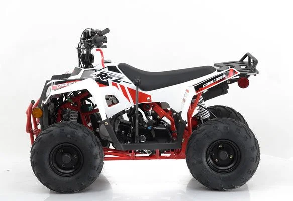 Spider X200 Trike Scooter — Luca Motorsports