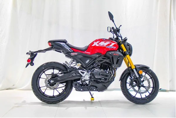 Ice Bear Champion 125cc Motorcycle — Luca Motorsports