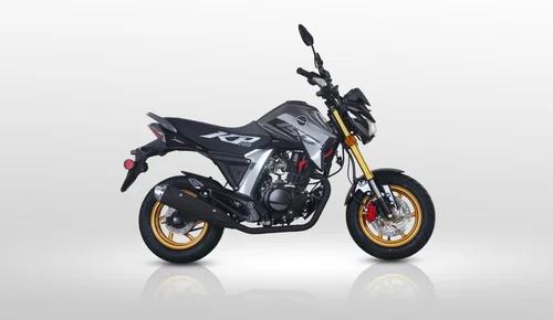 BSR Raven 250XL Dual Sport Bike - Street Legal — Luca Motorsports