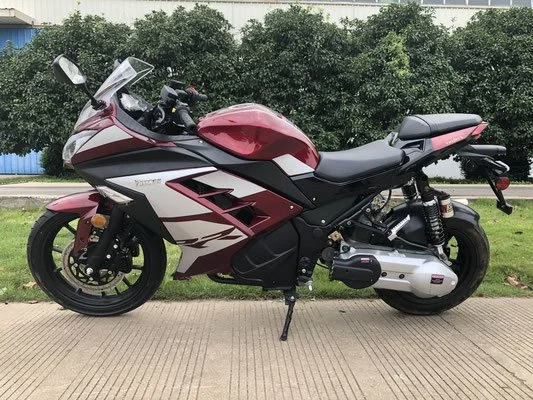 Our Store — Luca Motorsports