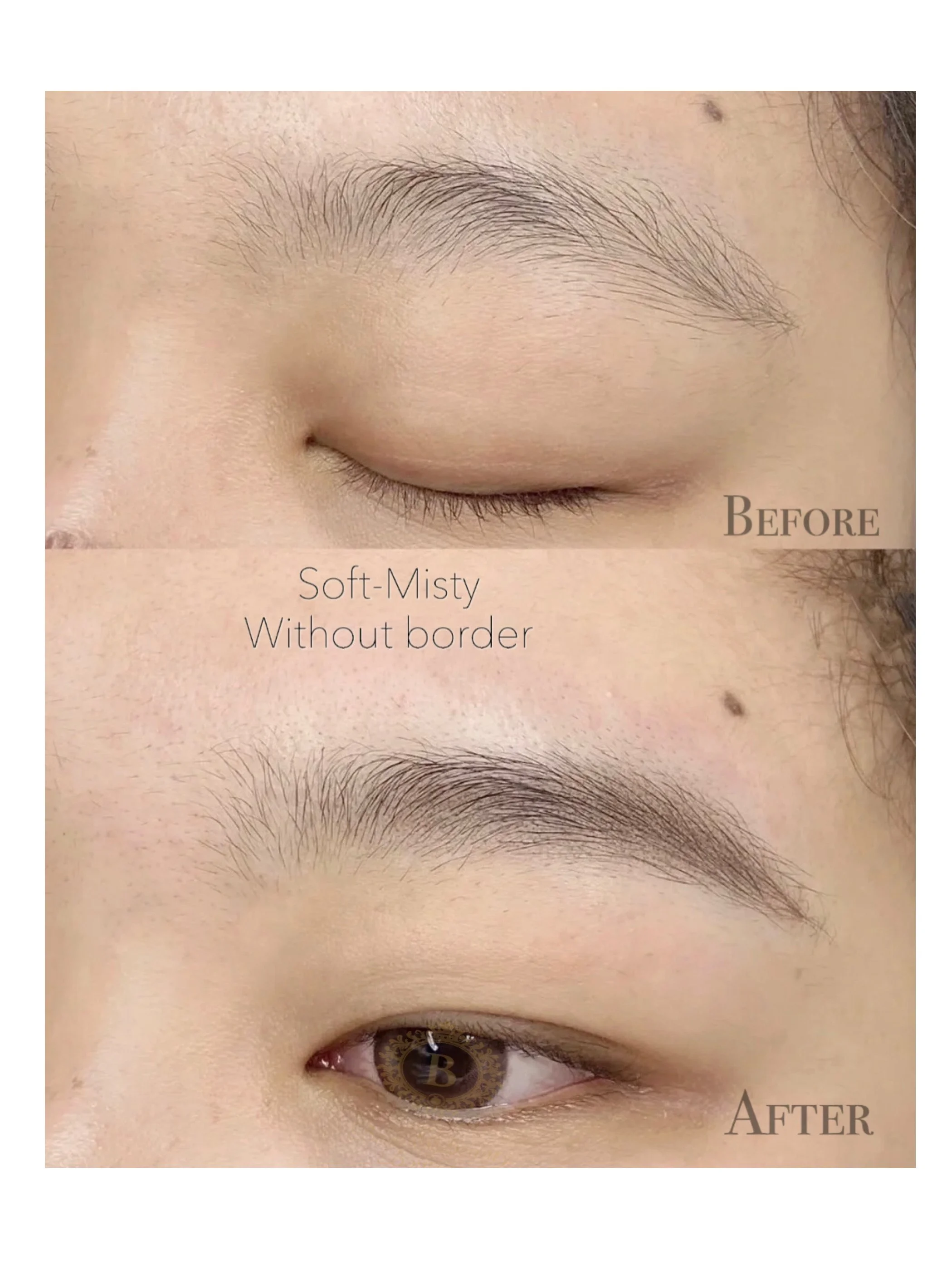 Eyebrow+embroidery- The Brow Beauty Boutique — Singapore best eyebrow ...