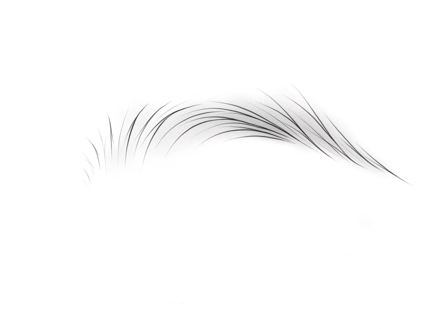 Eyebrow+embroidery- The Brow Beauty Boutique — Singapore best eyebrow ...