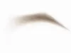 Eyebrow+embroidery- The Brow Beauty Boutique — Singapore best eyebrow ...