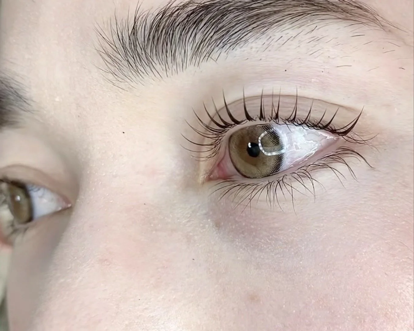 Keratin Lashlift in Singapore- The Brow Beauty Boutique — Singapore ...