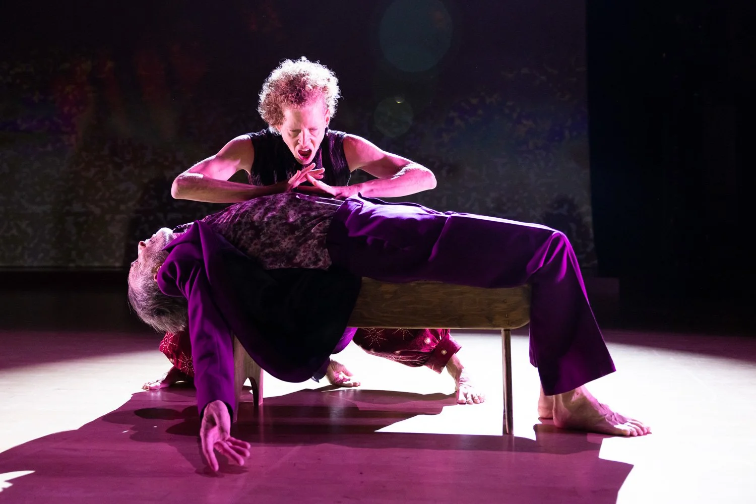 Wicked Bodies Choreographed by Liz Lerman — Sarita P Fellows