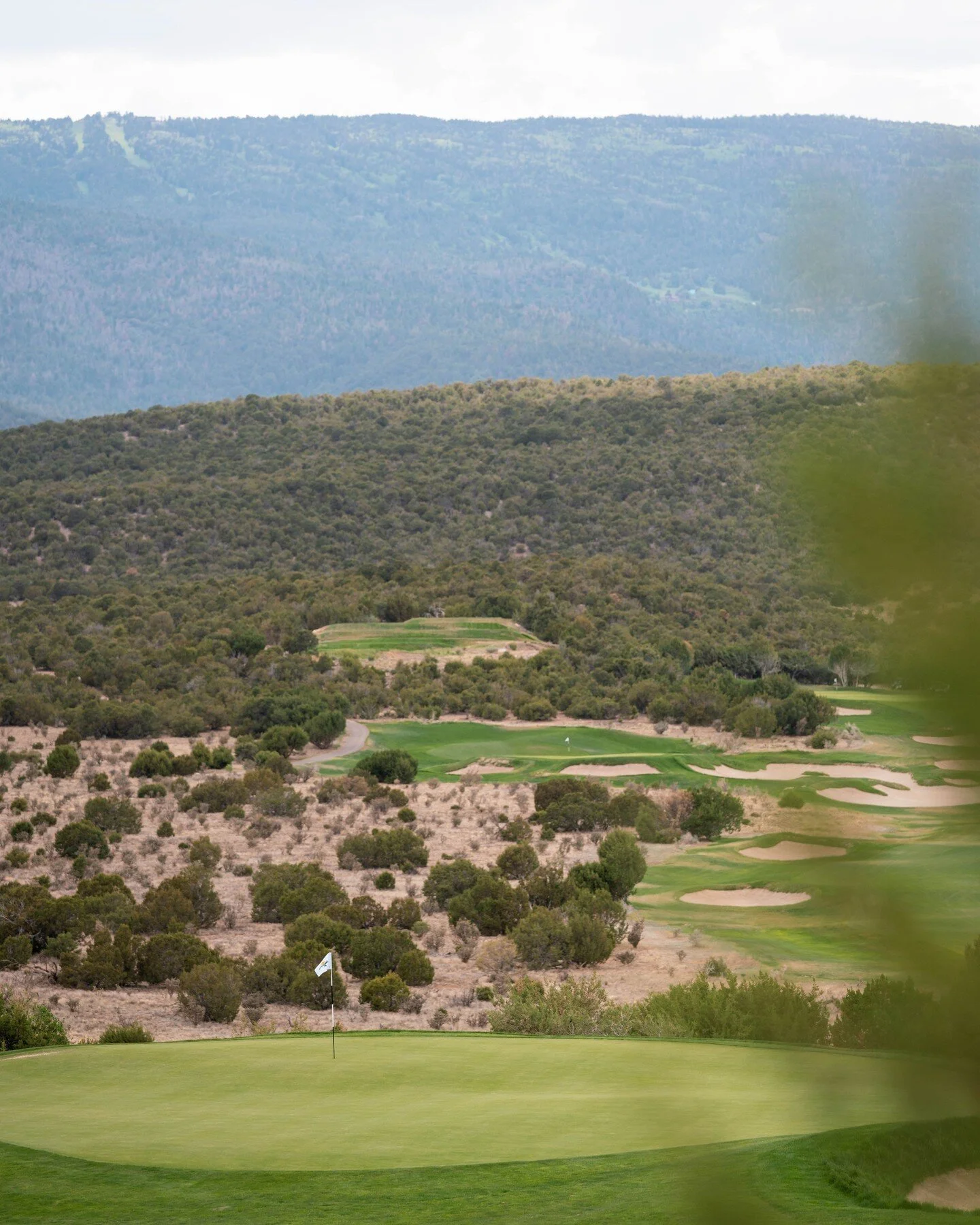 Membership Redirect — Paako Ridge Golf Club