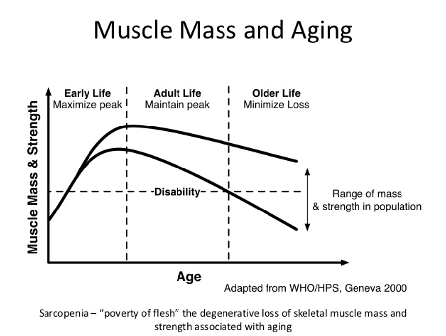PH Therapy - a client case study — Performance & Health Therapy Ltd