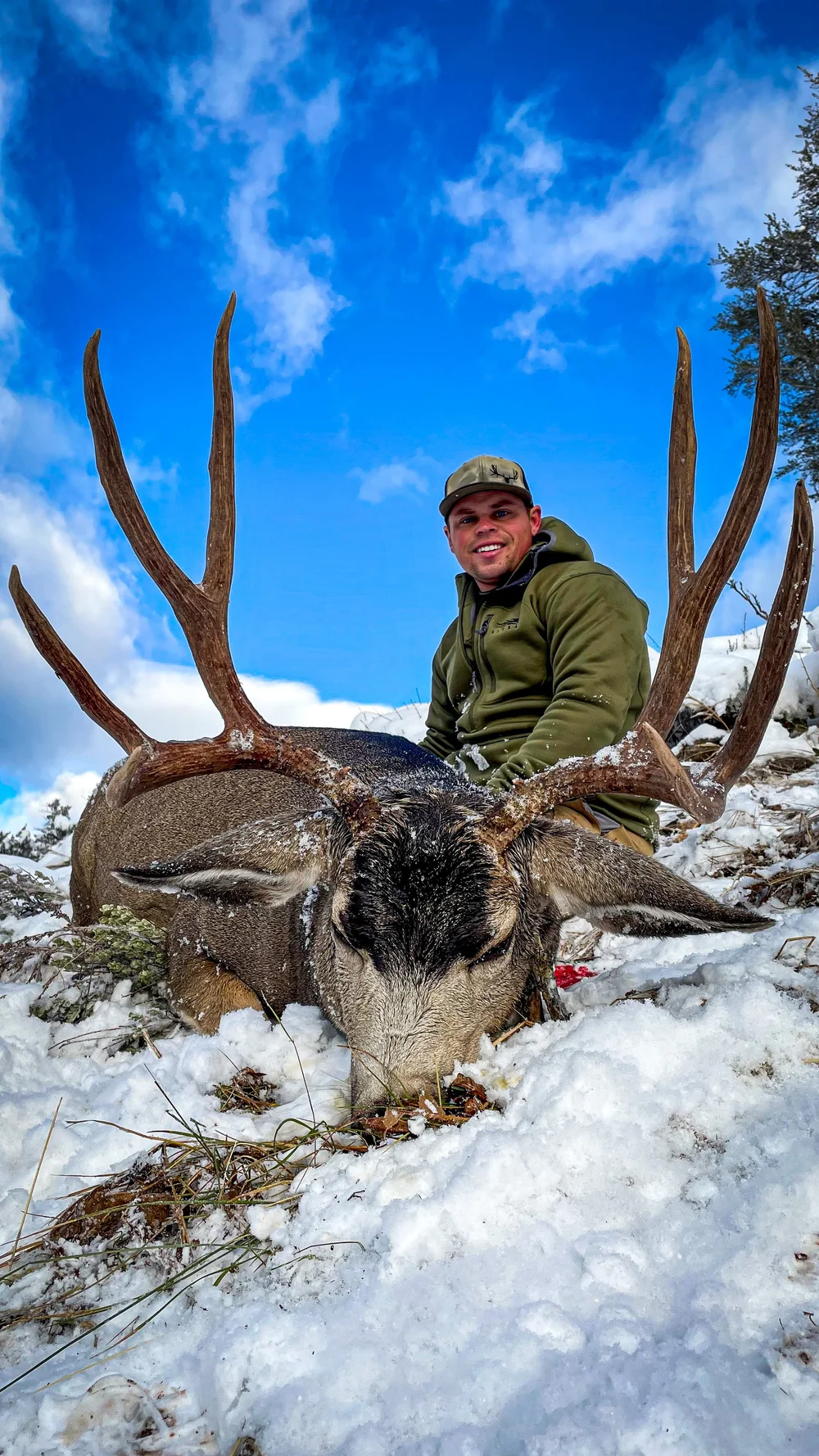 Mule Deer Hunt Guided Trips — Porcupine Adventures