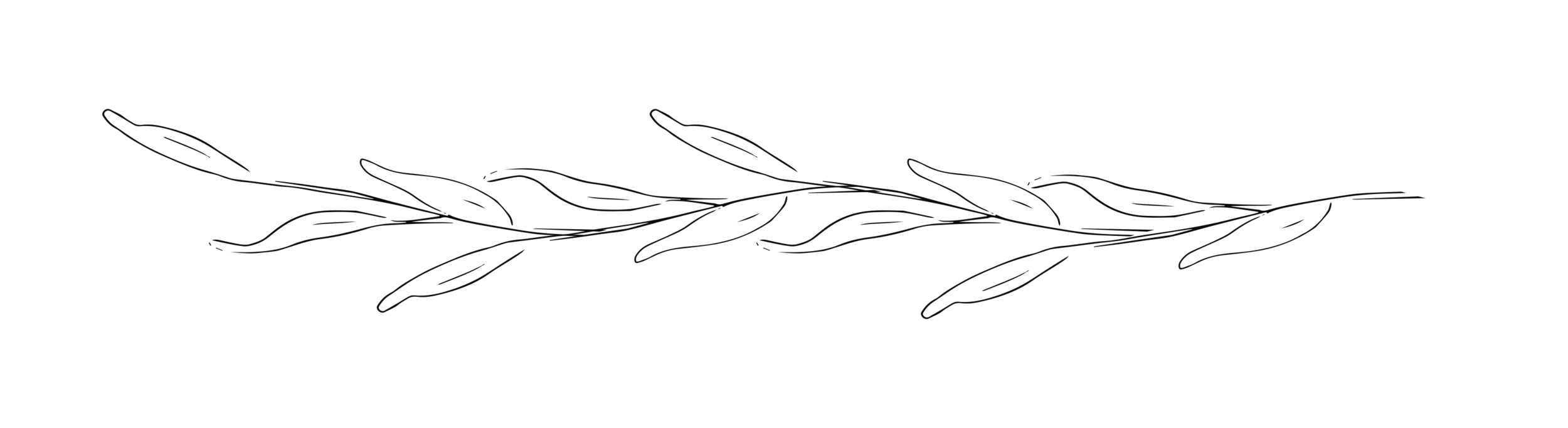 Sage Healing Collective