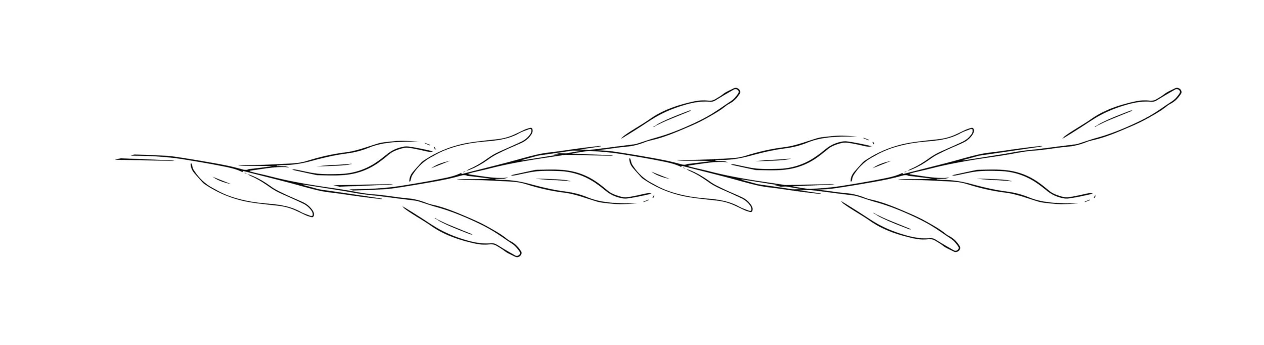 Sage Healing Collective