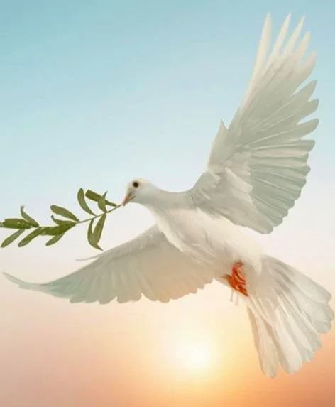 Matthew 9:35-38, 10:1-23 - Be wise as serpents and innocent as doves ...