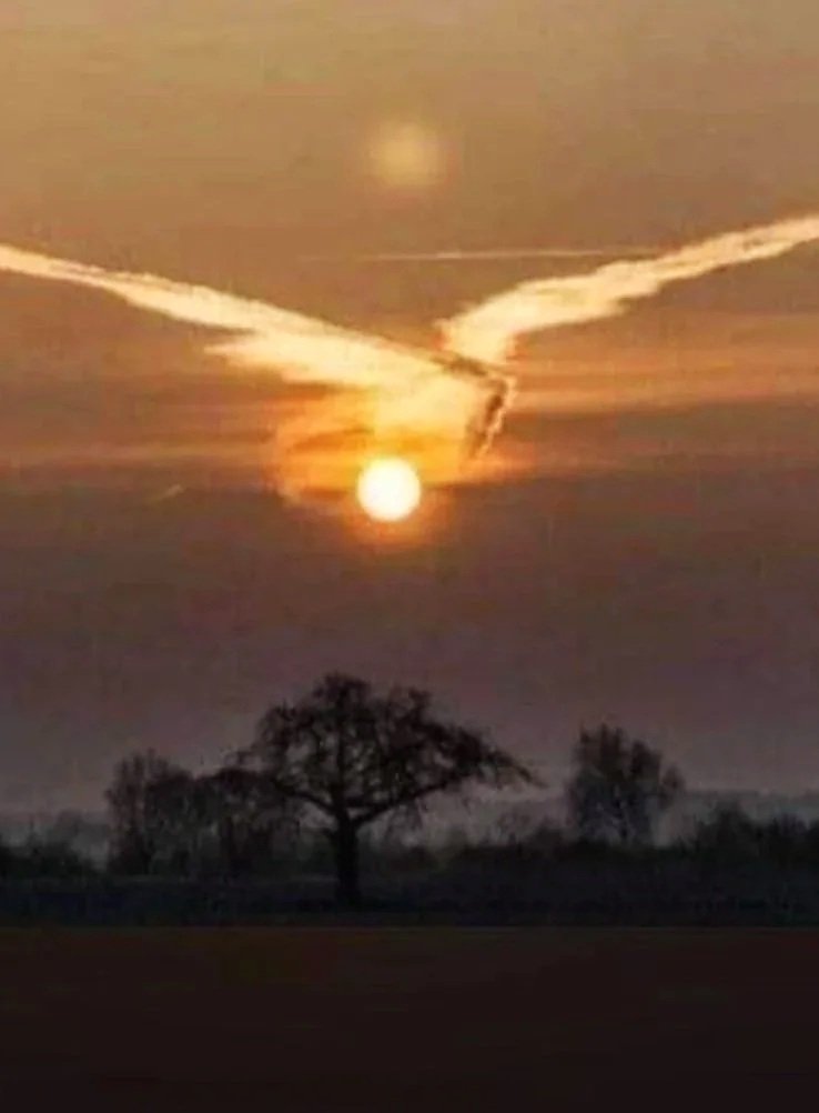 Matthew 3: 13-17 - You come to me? — Holy Land In Depth