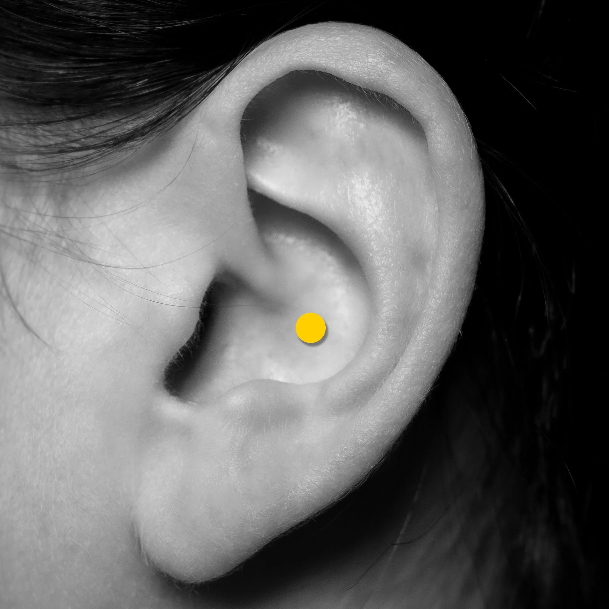 Body Piercing Price Guide Brooklyn & Manhattan | Live By The Sword Tattoo