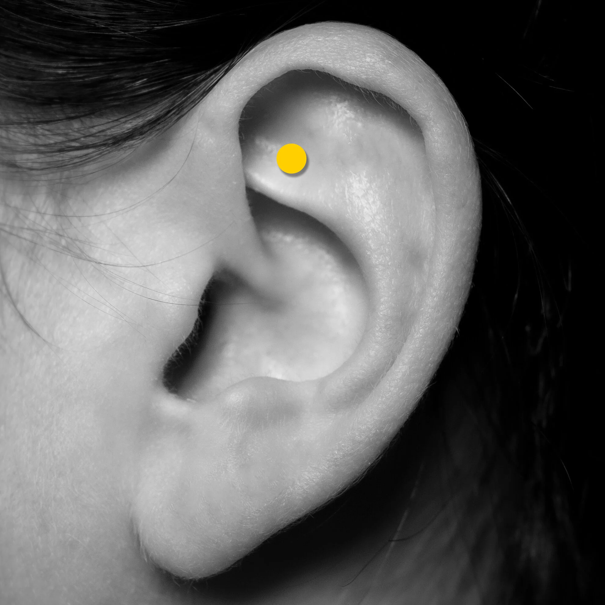 Body Piercing Price Guide Brooklyn & Manhattan | Live By The Sword Tattoo