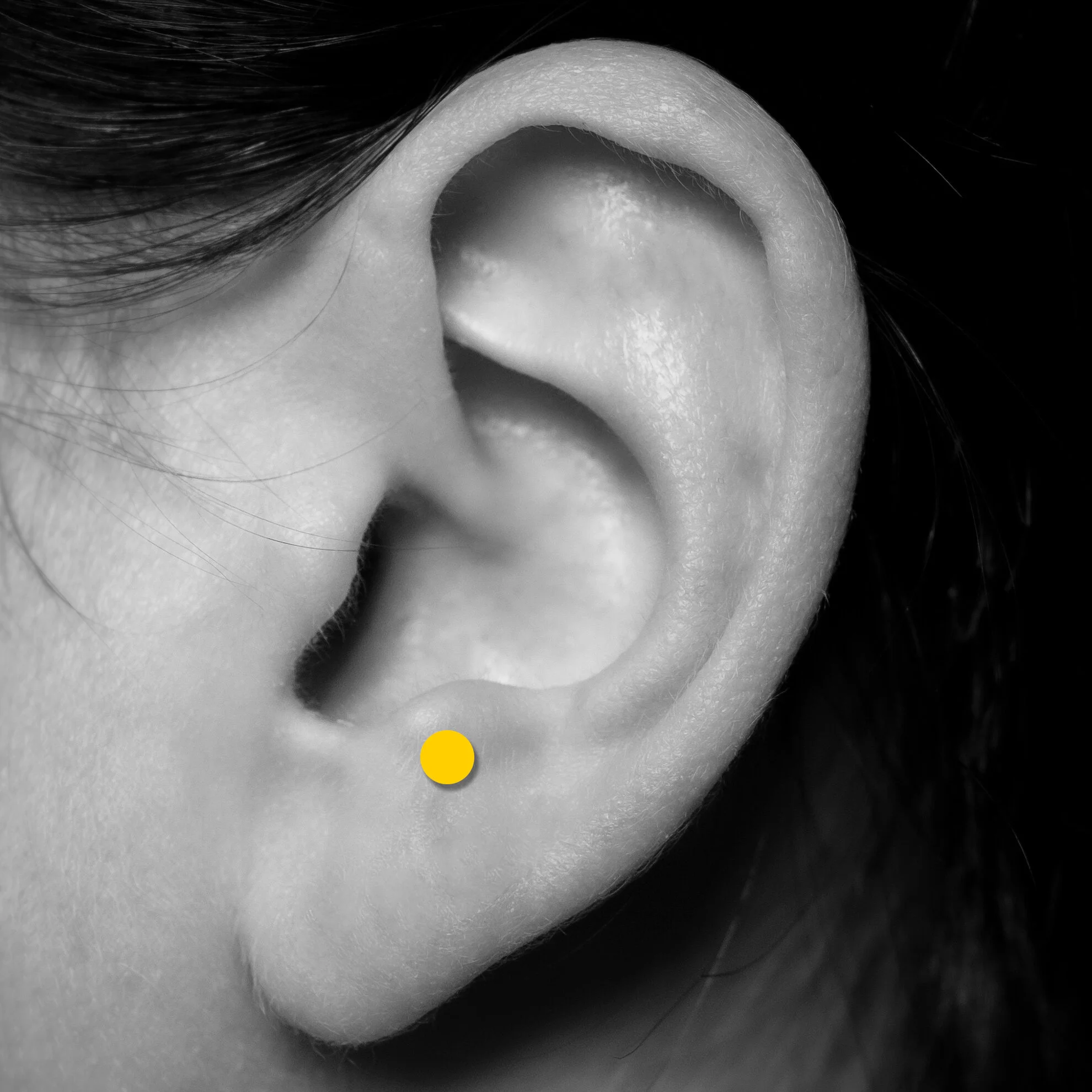 Body Piercing Price Guide Brooklyn & Manhattan | Live By The Sword Tattoo