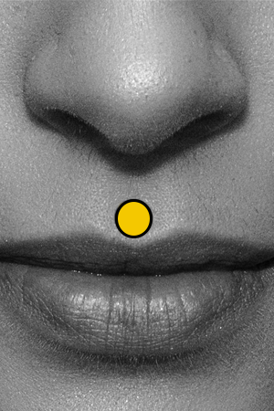 Body Piercing Price Guide Brooklyn & Manhattan | Live By The Sword Tattoo