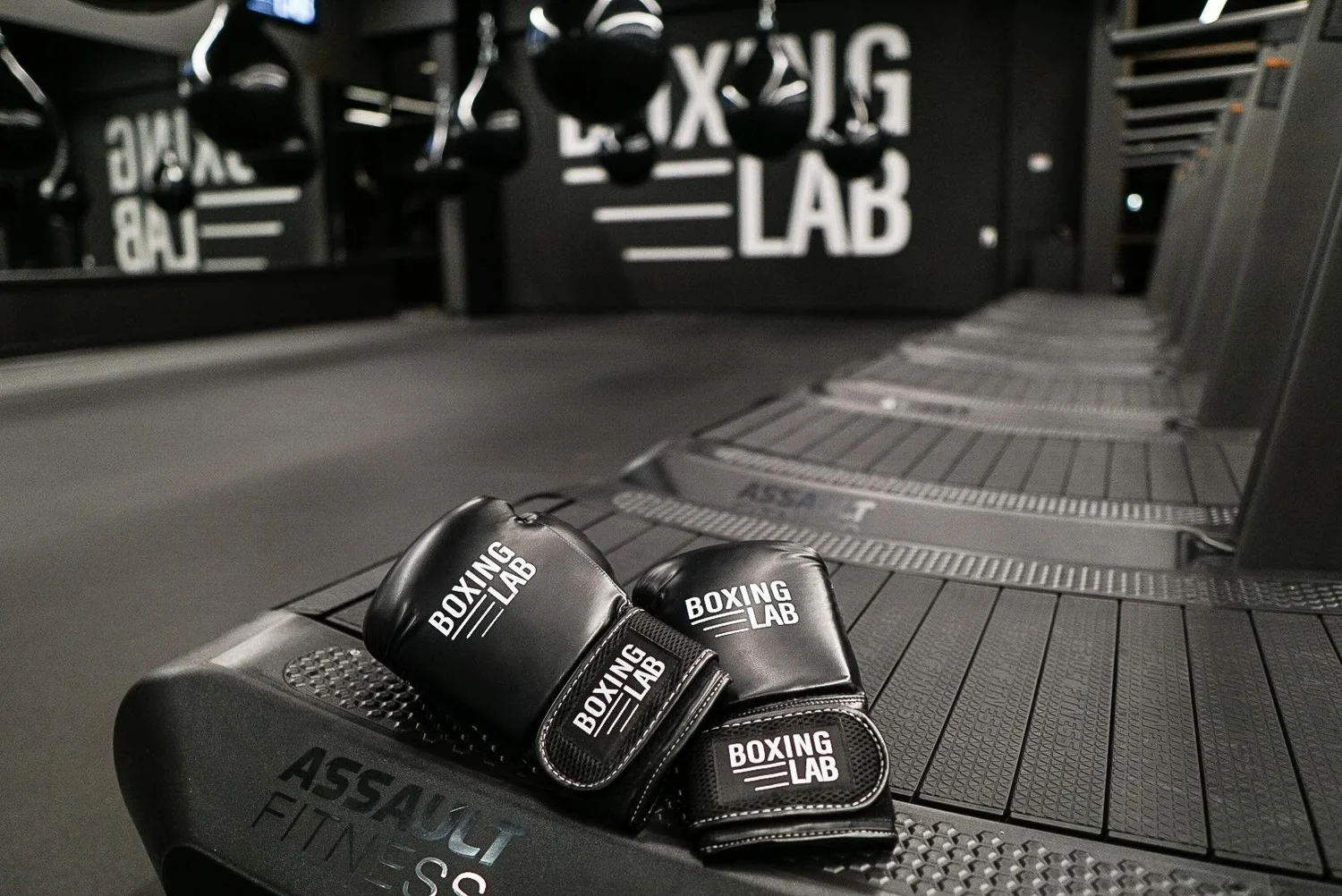Retail — Boxing Lab