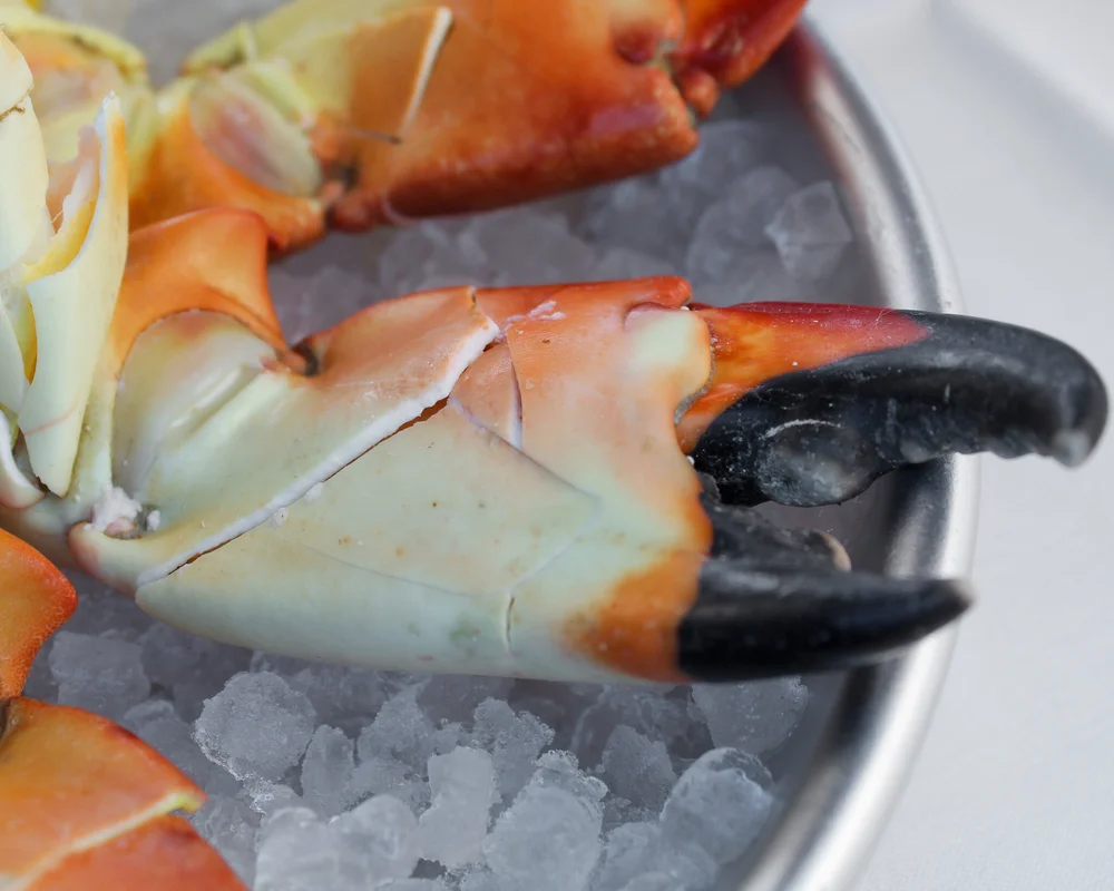 About STIR | Experience Fine Dining Today — STIR Chattanooga