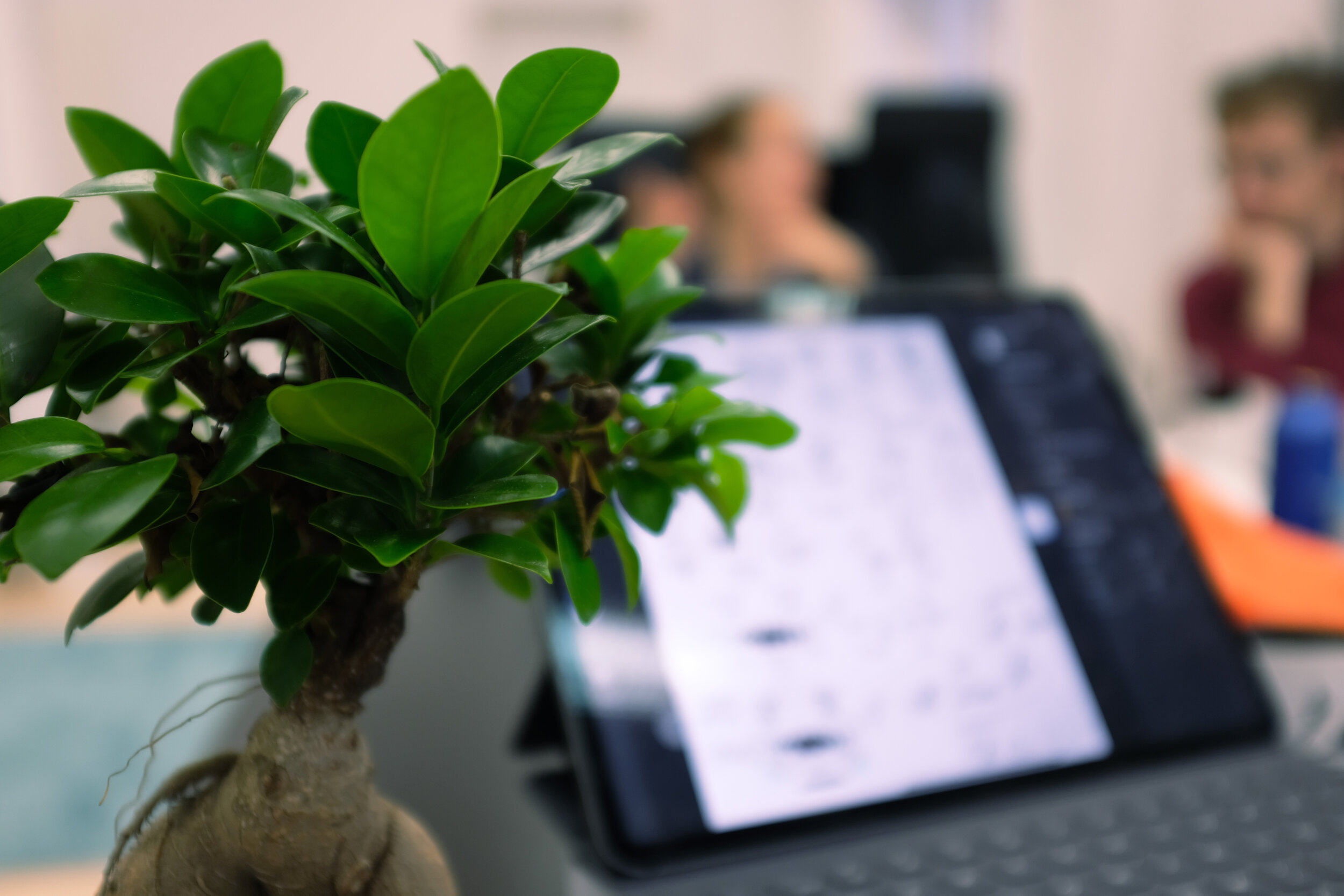 Lightheart Entertainment