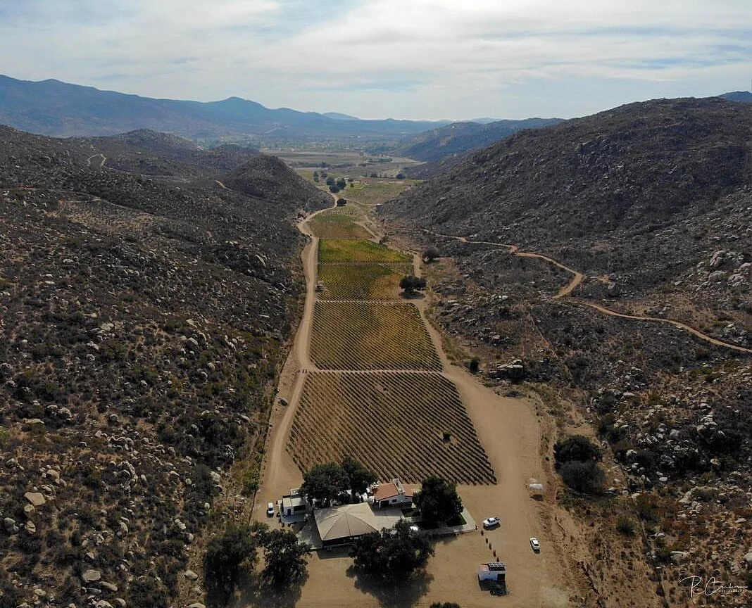 Vinícola Solar Fortún — Valle de Guadalupe Weddings