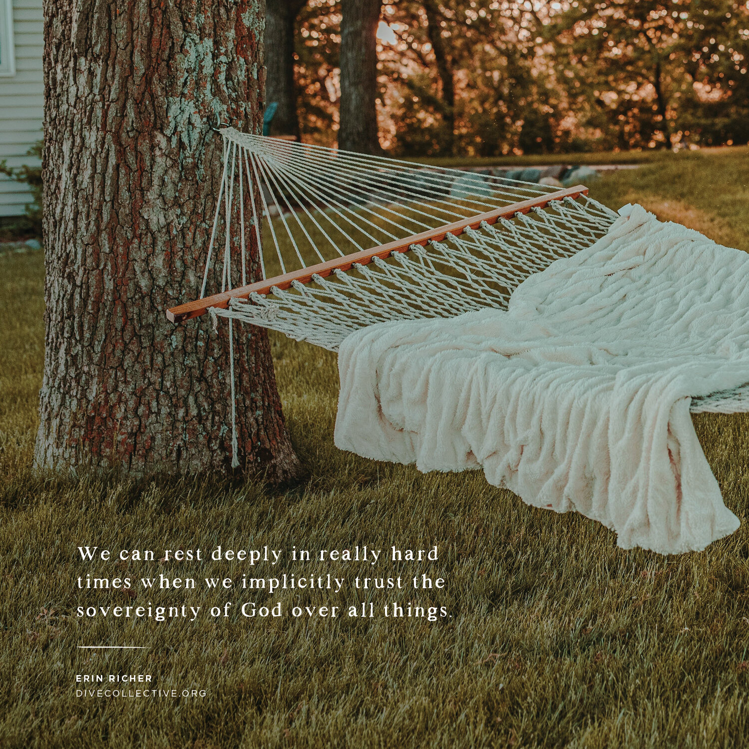 Rest in the Midst of Chaos — Dive Collective