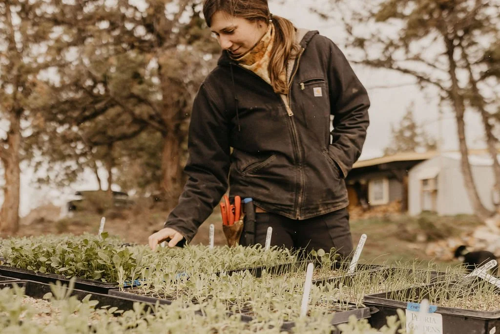 Roots Wild | Central Oregon Flowers