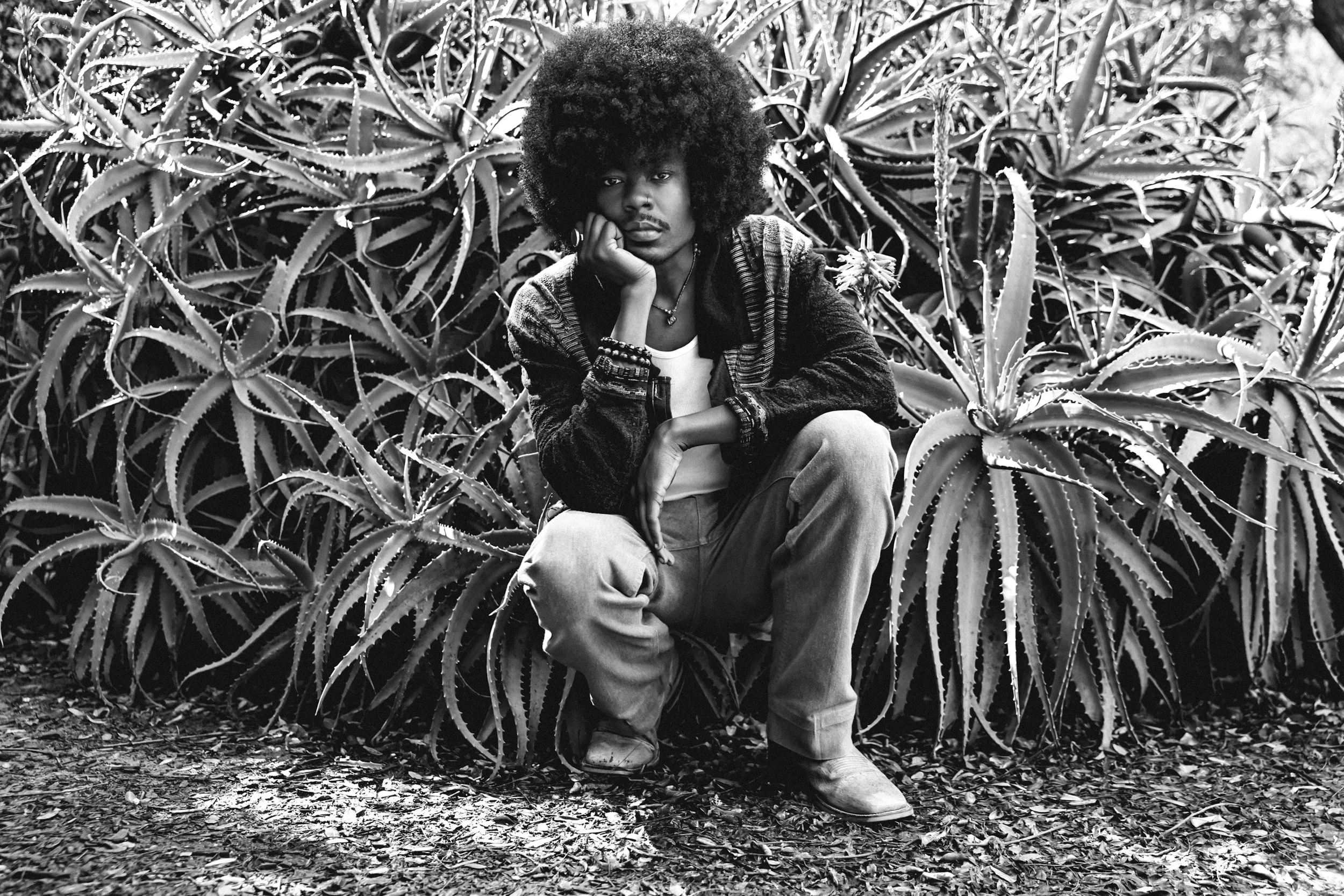 Performances — Mayfest