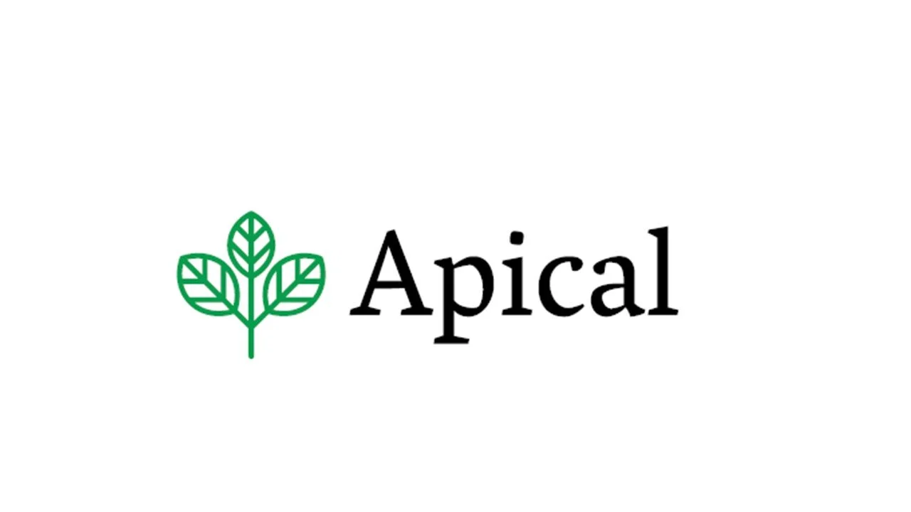 Apical Logo