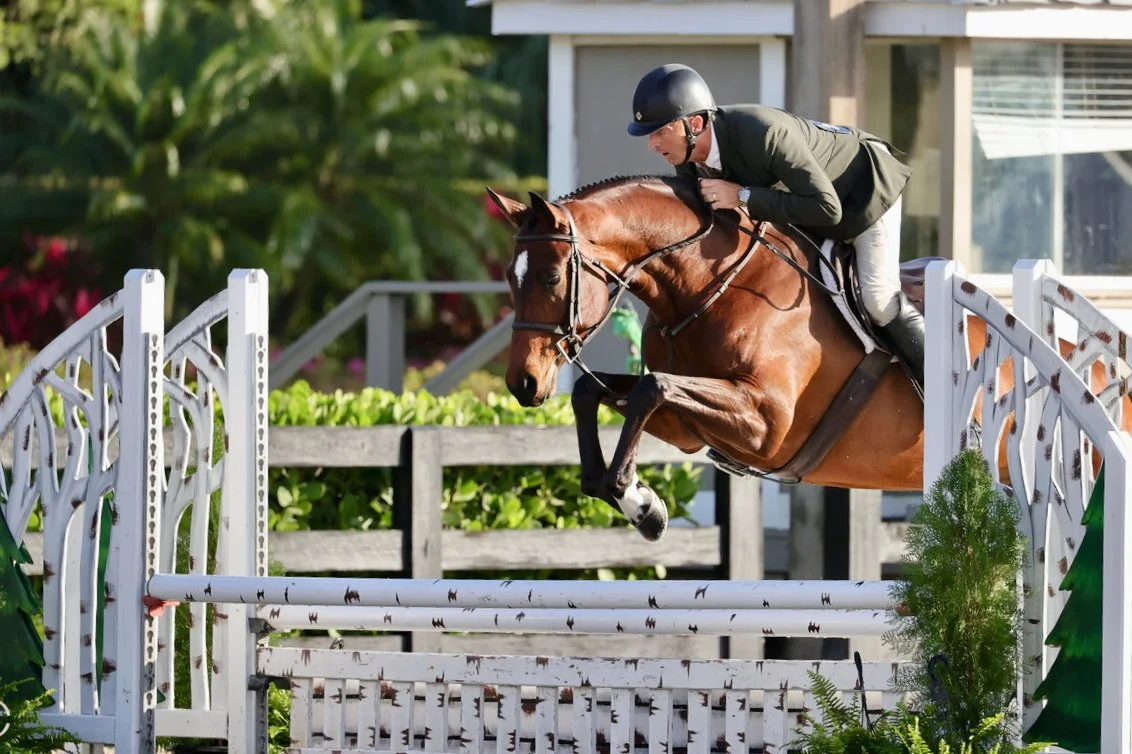 Gavin Moylan Stables