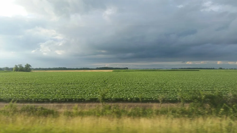 Committees — Jess Hanson for MN House