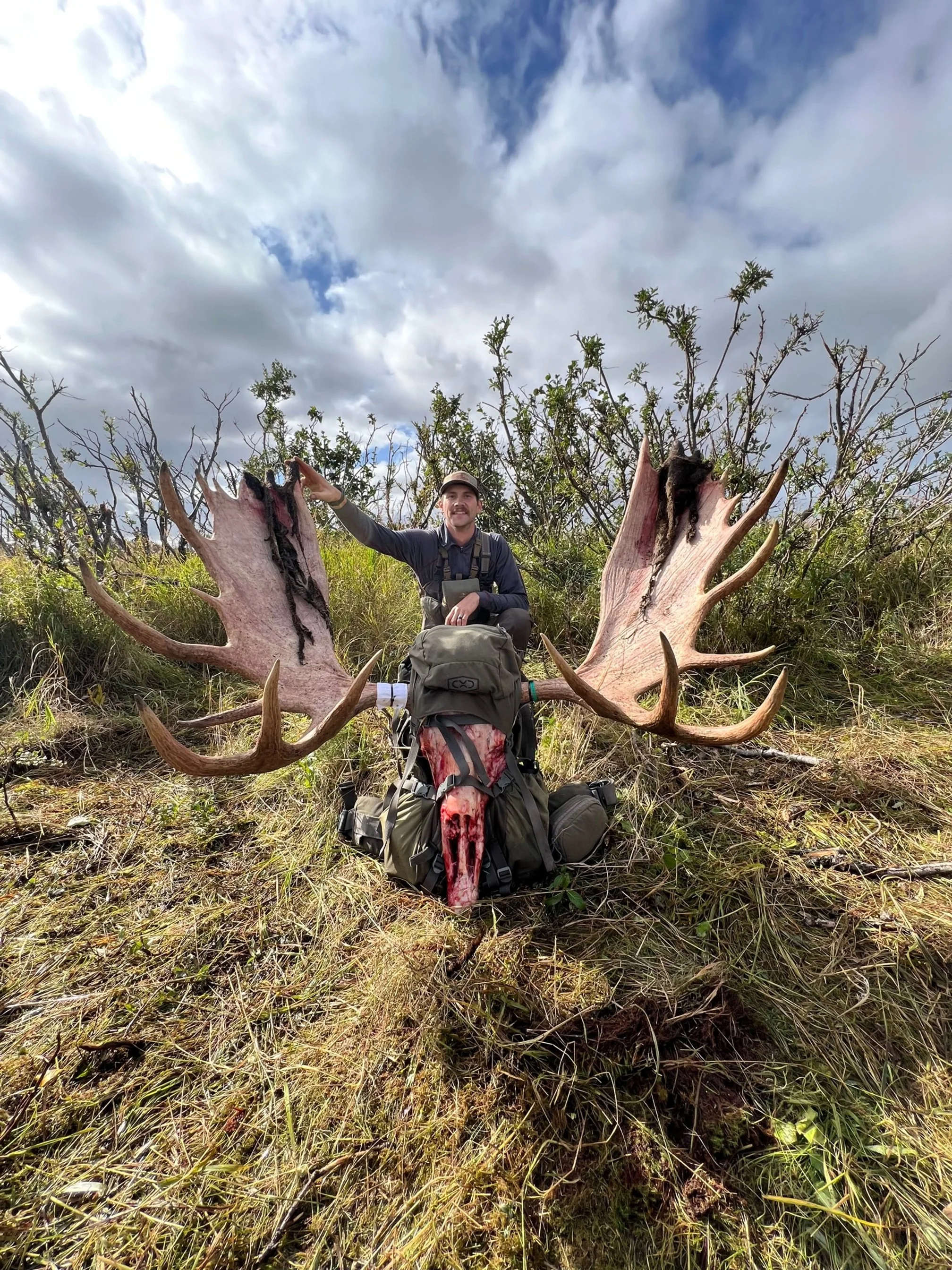 Papa Bear Adventure DIY unguided Moose Hunting Photos — Papa Bear ...