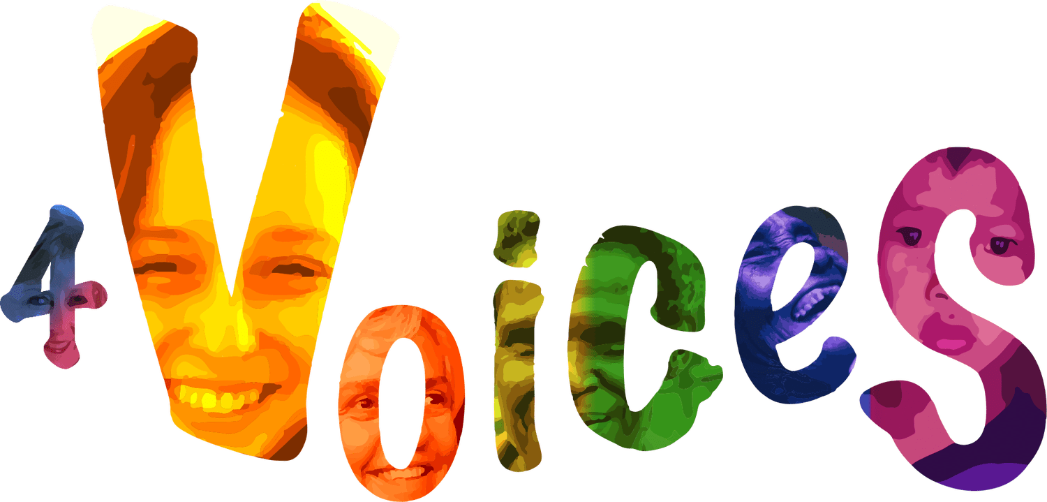 What we do — 4 Voices