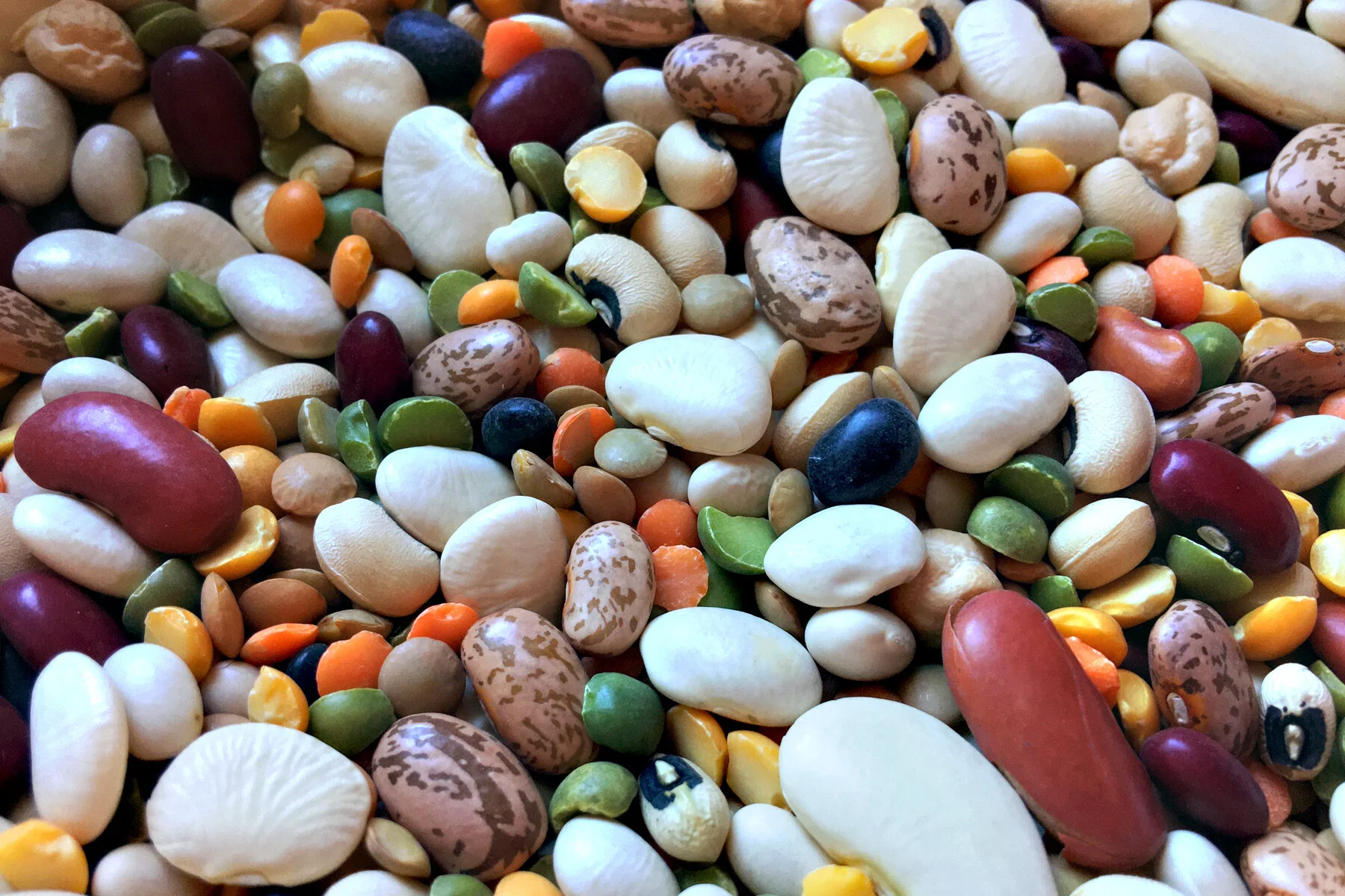 Bob's 13-Bean Soup — Nourish to Flourish