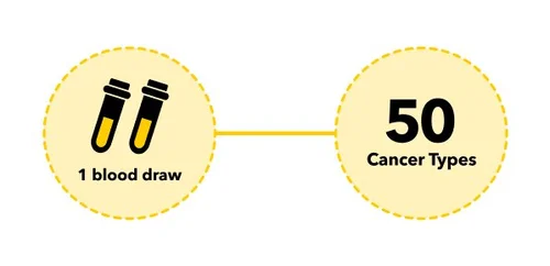 Blood Test for Cancer Screening | NOVI Health