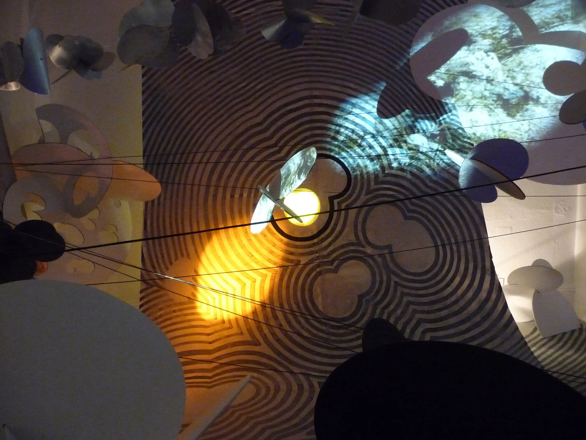 Exhibitions — MARK SURRIDGE